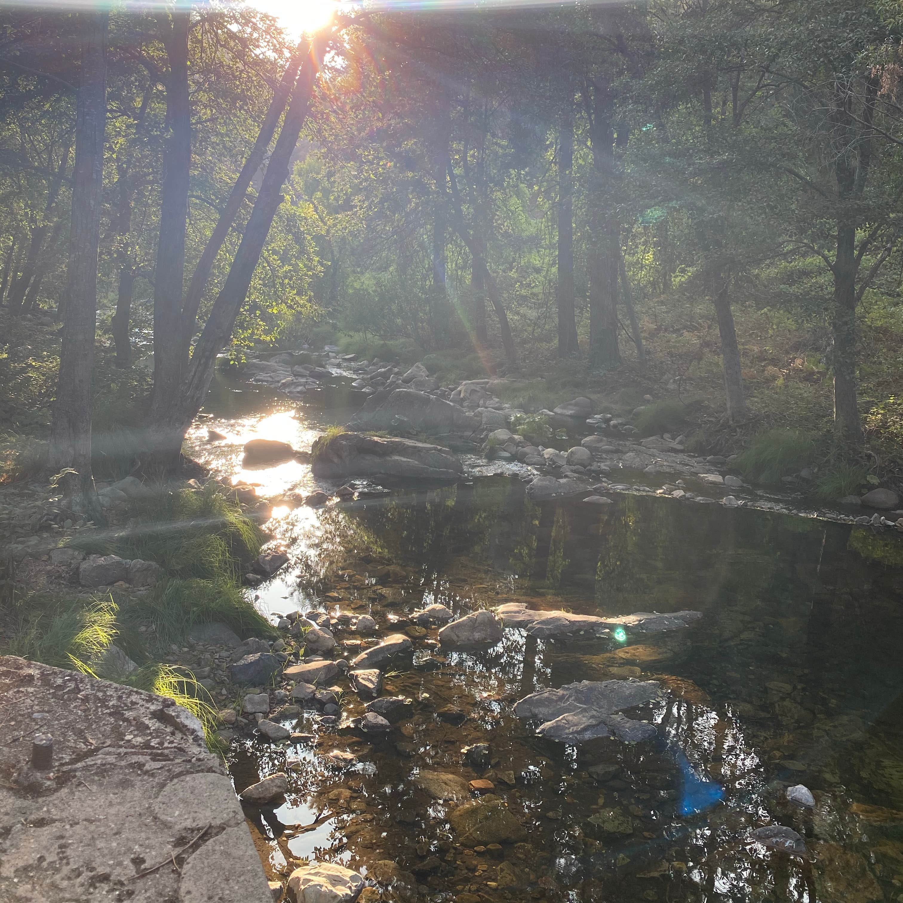 River Ranch Campground Camping | The Dyrt