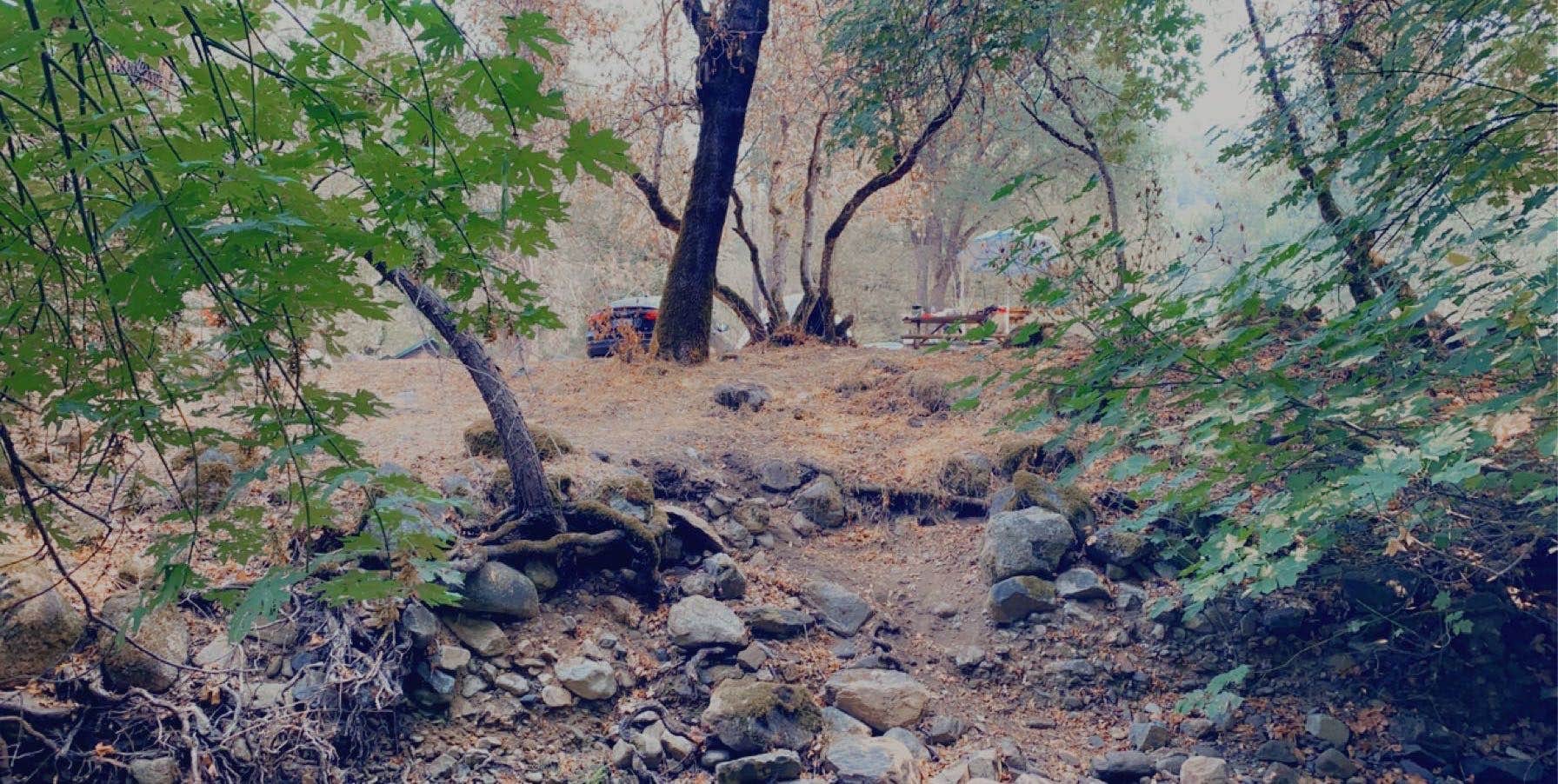 River Ranch Campground Camping | The Dyrt