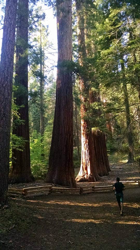 Best Tent Camping near Yosemite National Park