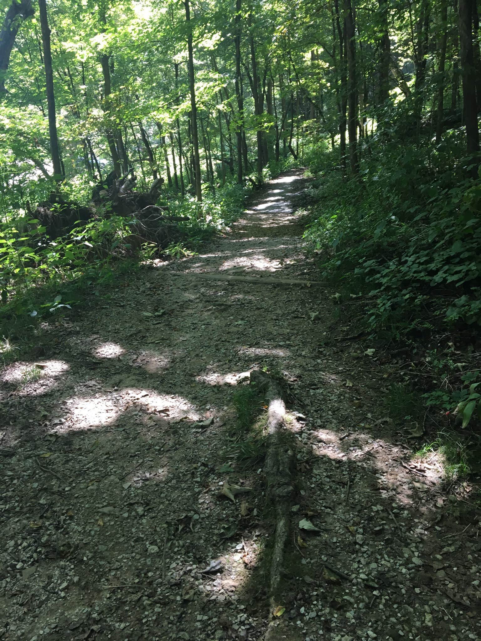 Wildcat Den State Park Campground | Muscatine, IA