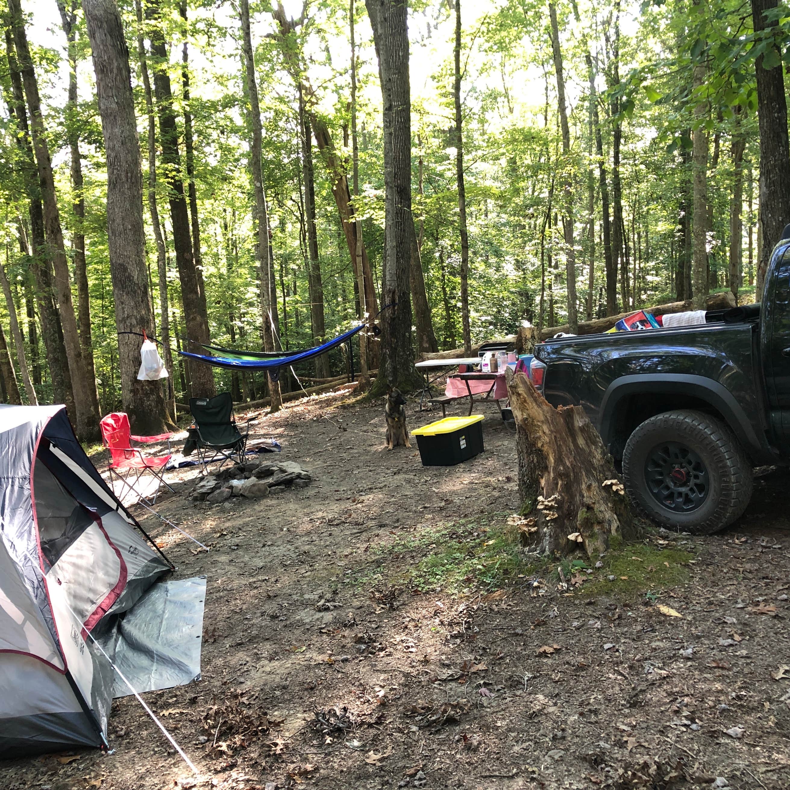 Summersville Lake Retreat & Lighthouse Camping | The Dyrt