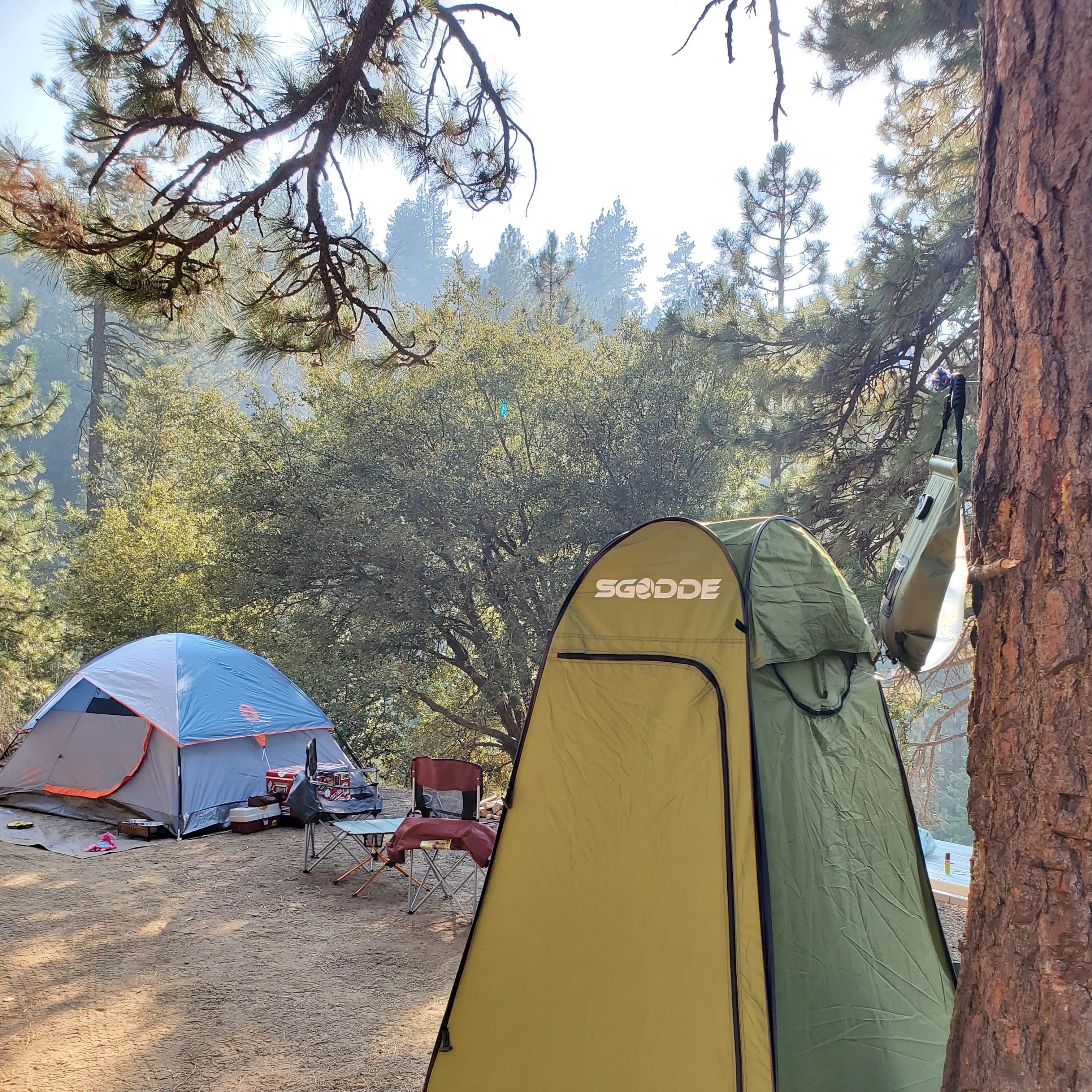 Tehachapi Mountain Park Camping | The Dyrt