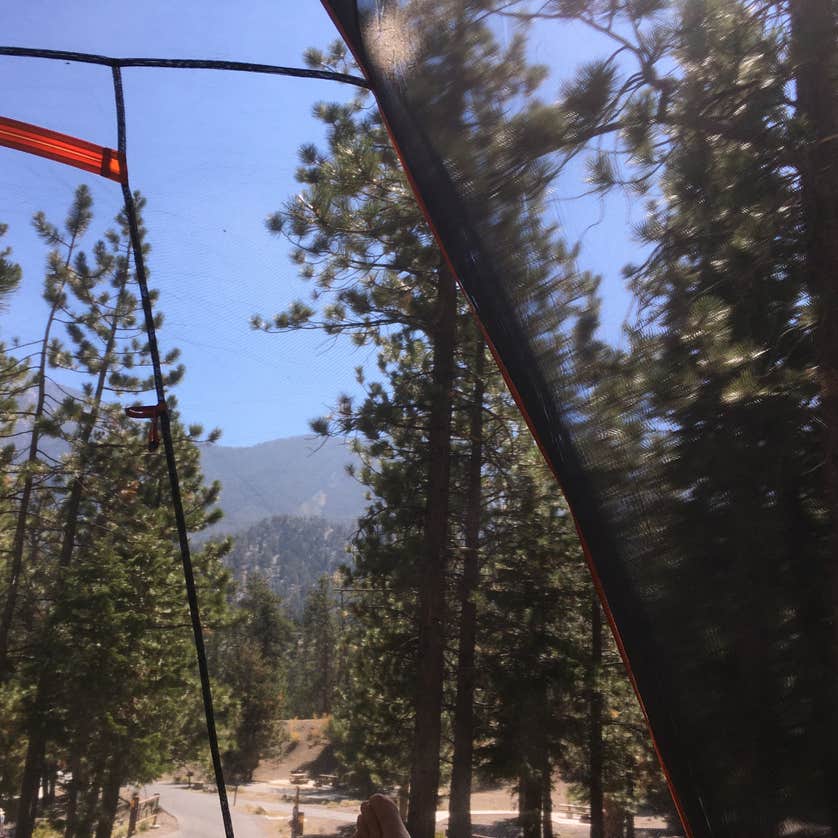 Toiyabe National Forest McWilliams Campground | Mount Charleston, Nevada