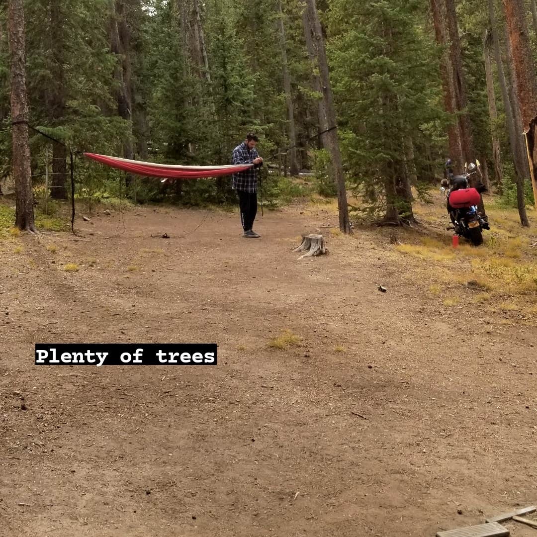 Burning Bear Campground Camping | The Dyrt