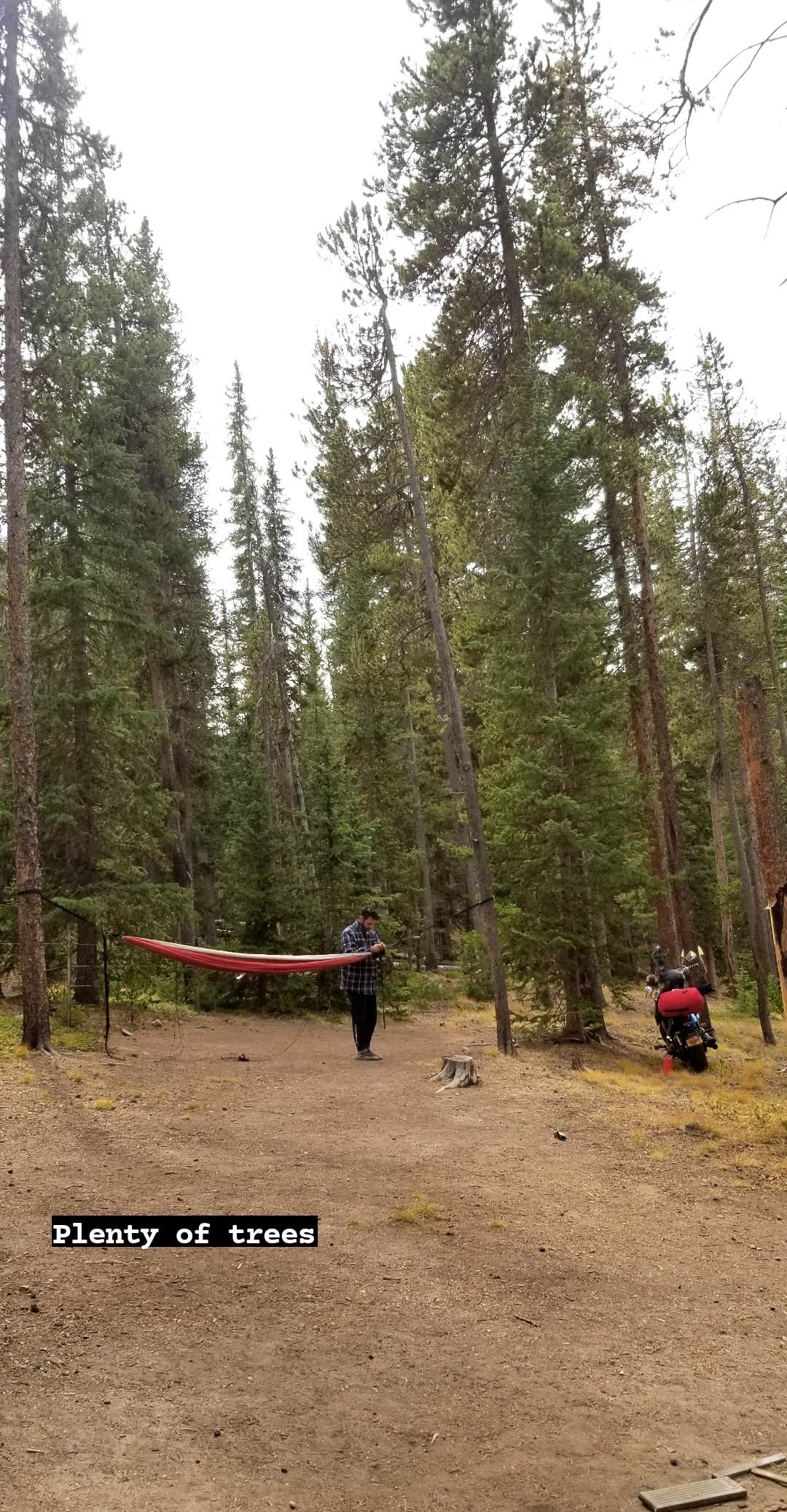 Burning Bear Campground Camping | The Dyrt