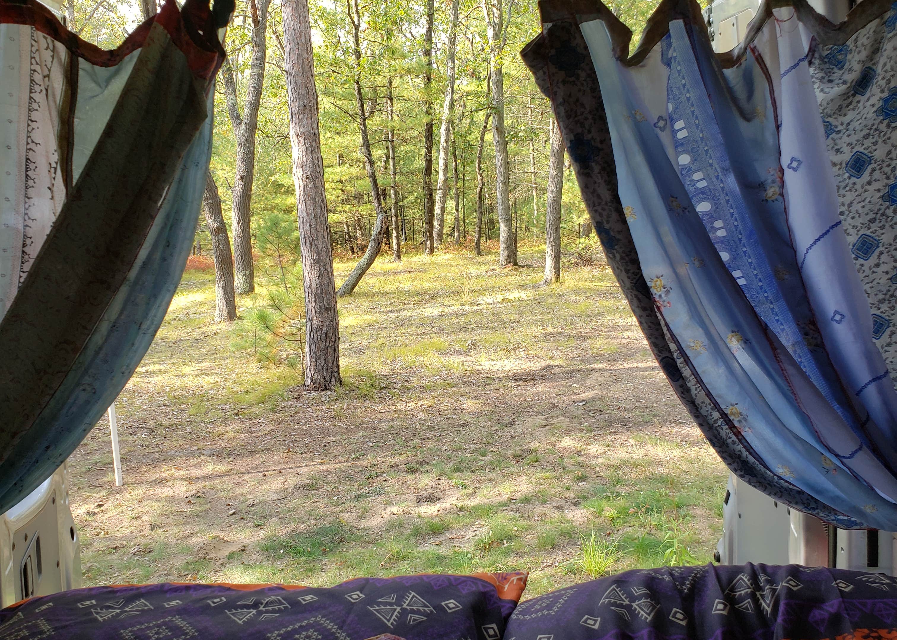 Round Lake State Forest Campground Camping | The Dyrt