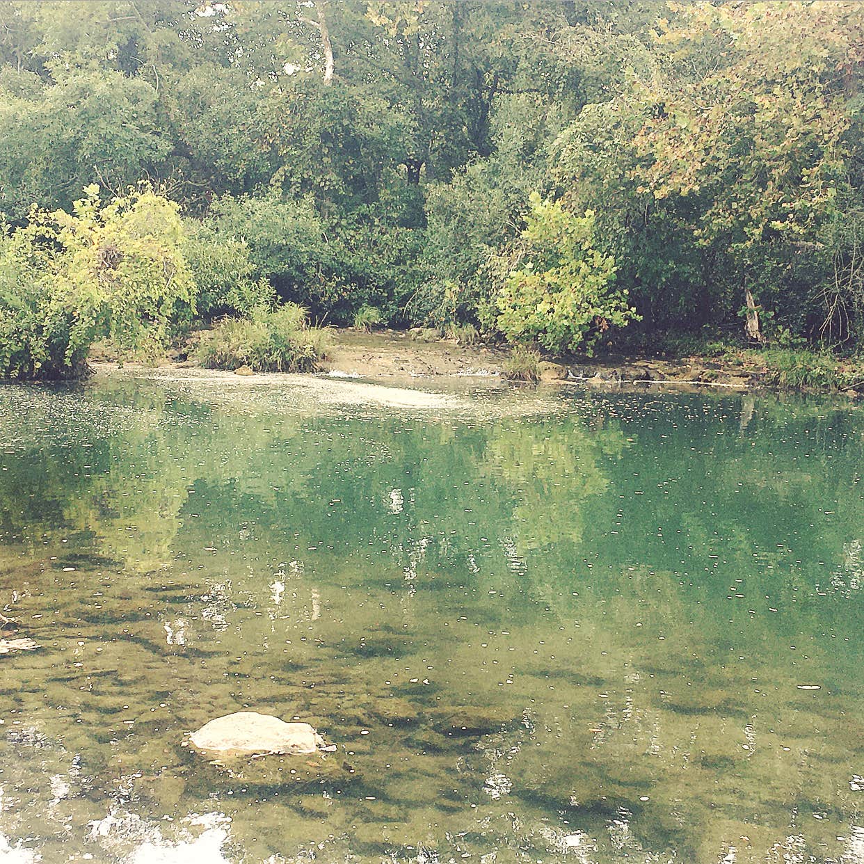 Blue River Campground | The Dyrt