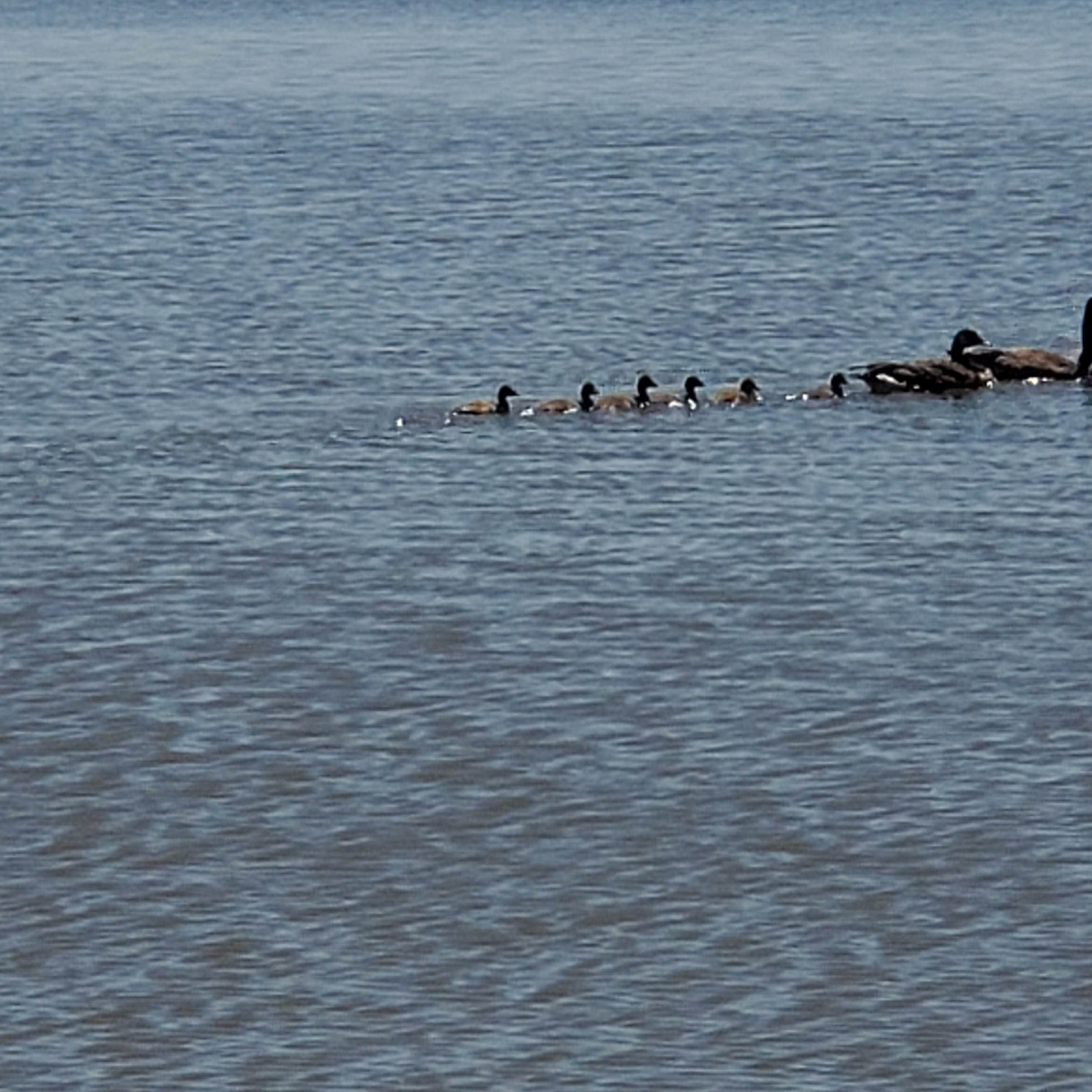 Winfield City Lake Camping | Winfield, KS