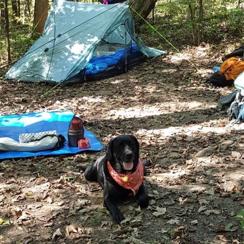 Dayton Metro Parks (Five Rivers Metroparks) Camping | Germantown, Ohio