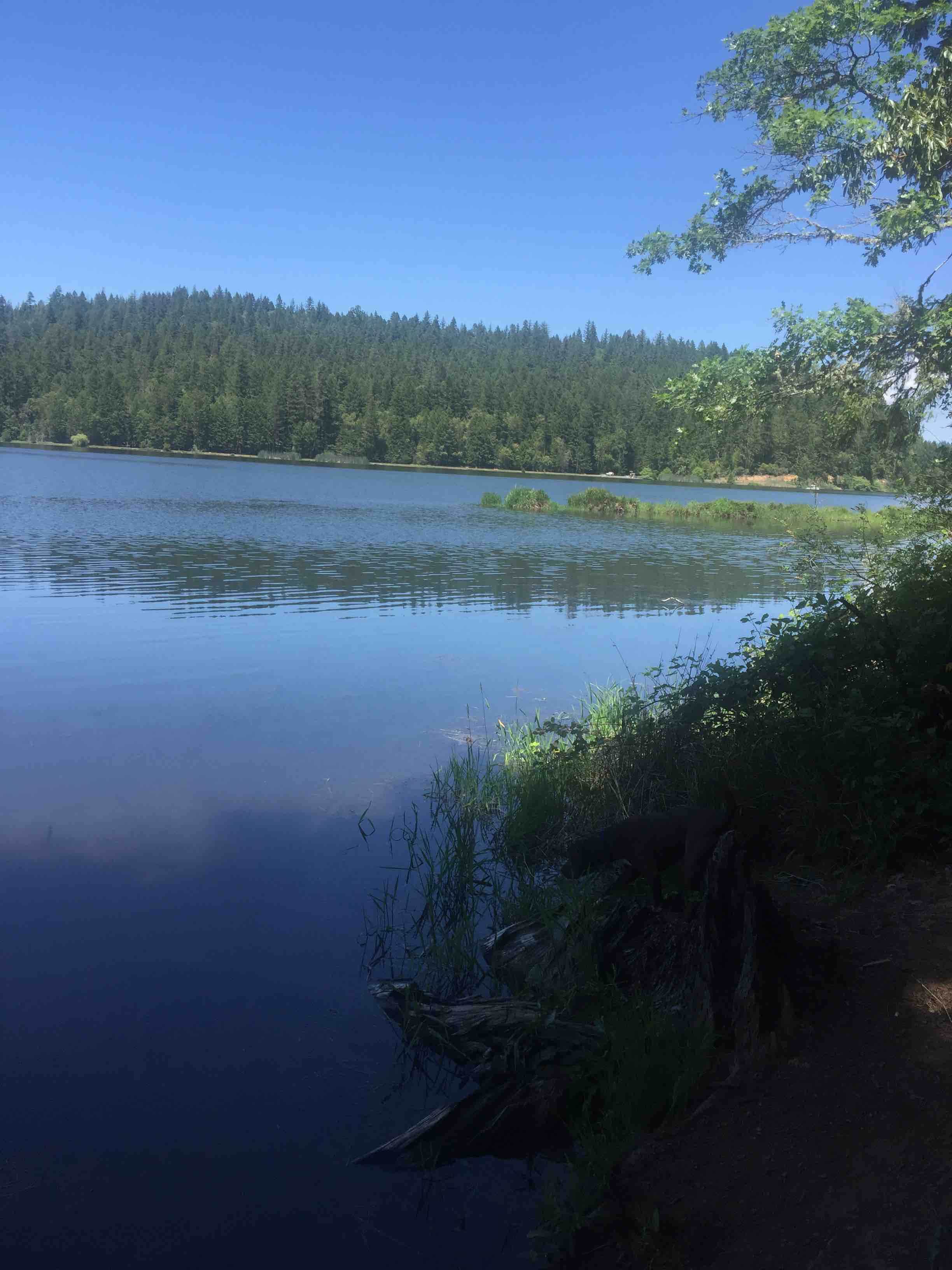 Lake Selmac County Park Camping | The Dyrt