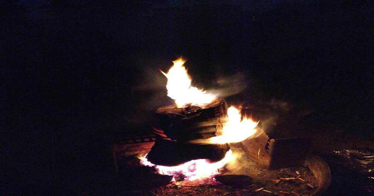 Fawn Meadows — Two Rivers SRA Camping | Waterloo, Nebraska