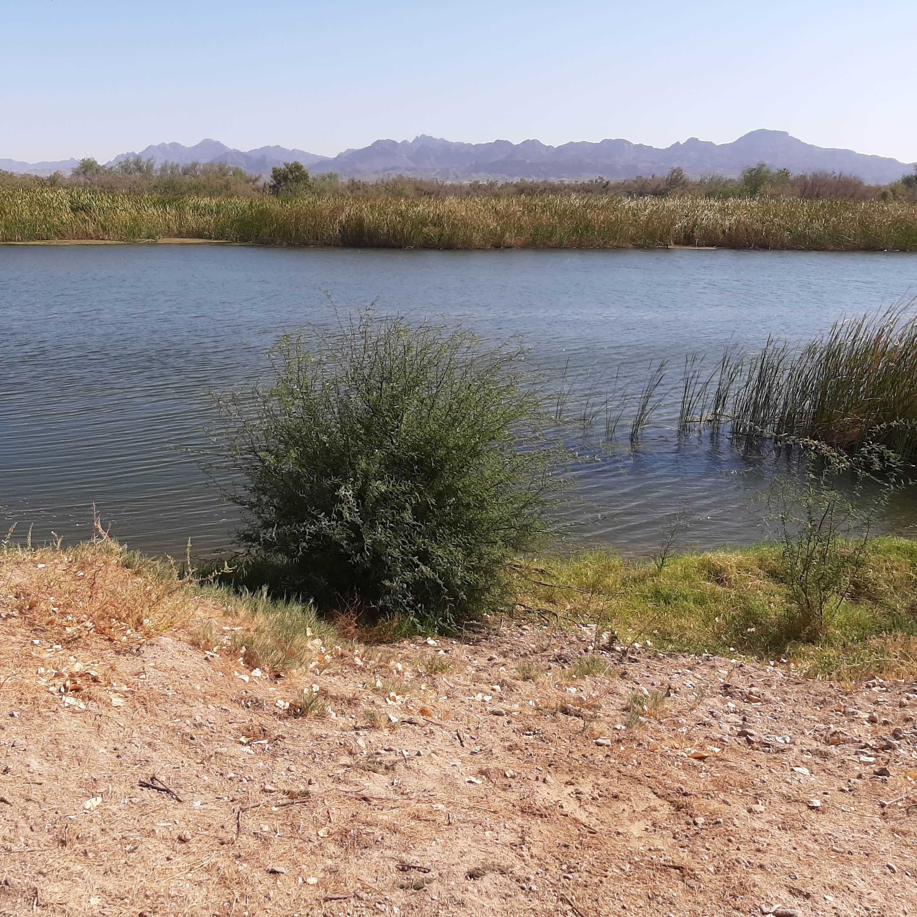 Walter's Camp RV Park & Campground Camping | The Dyrt