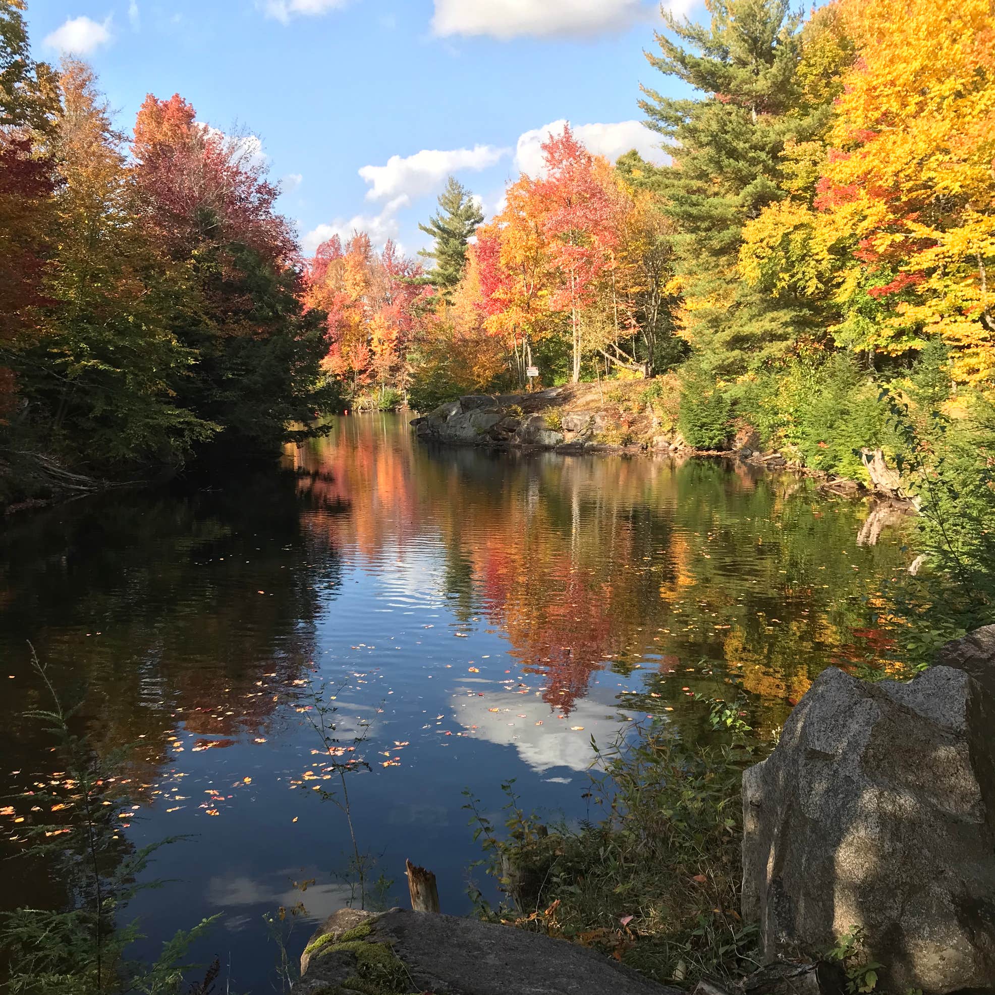 Soft Maple Campground Camping | The Dyrt