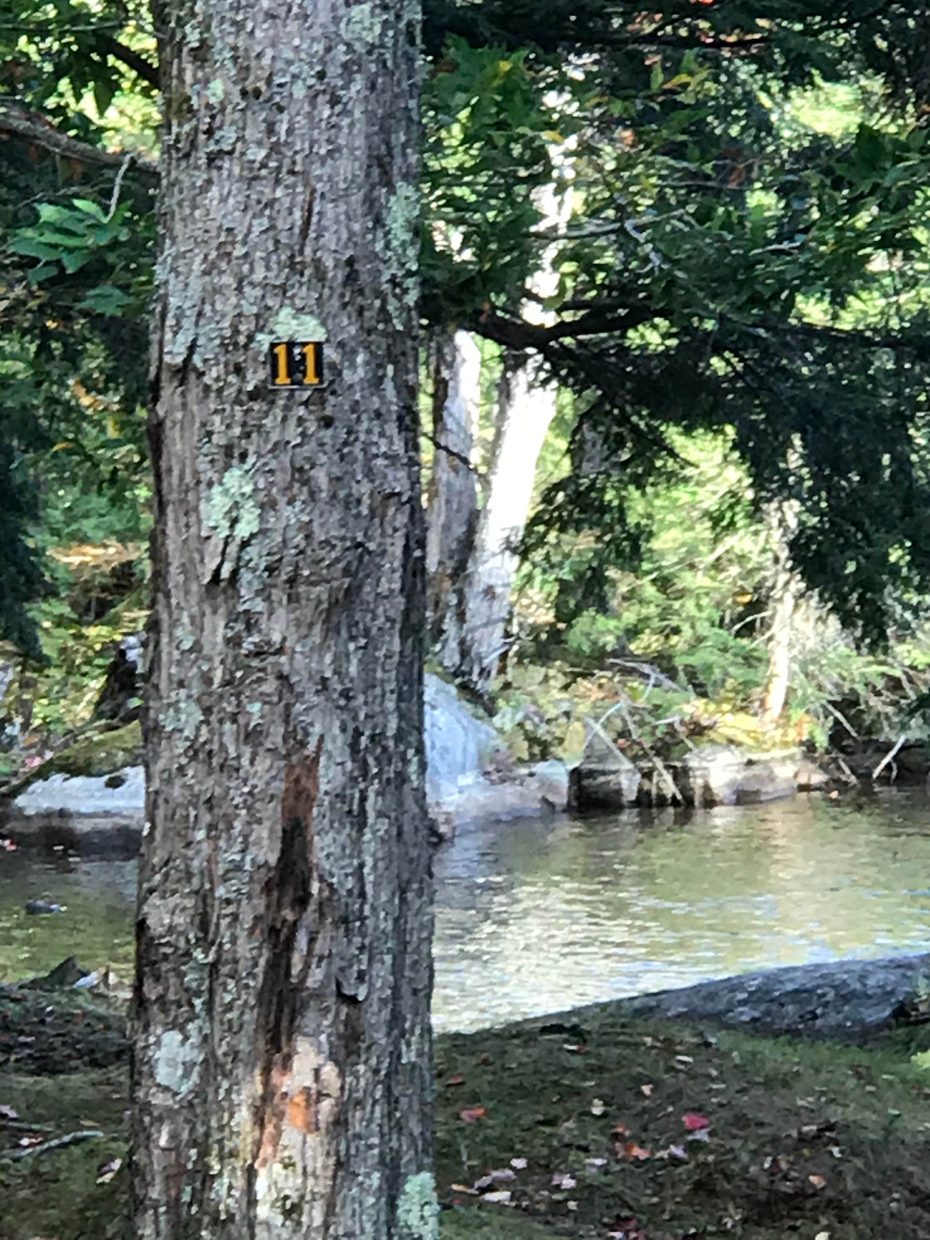 Soft Maple Campground Camping | The Dyrt