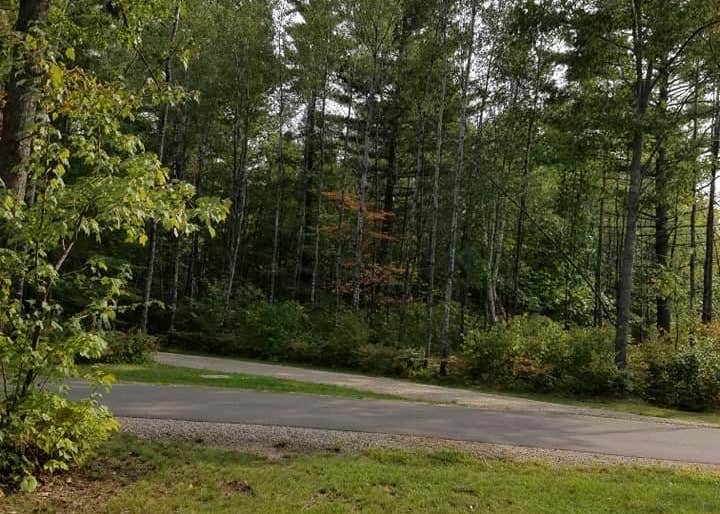 Torch Lake Campground Camping | The Dyrt