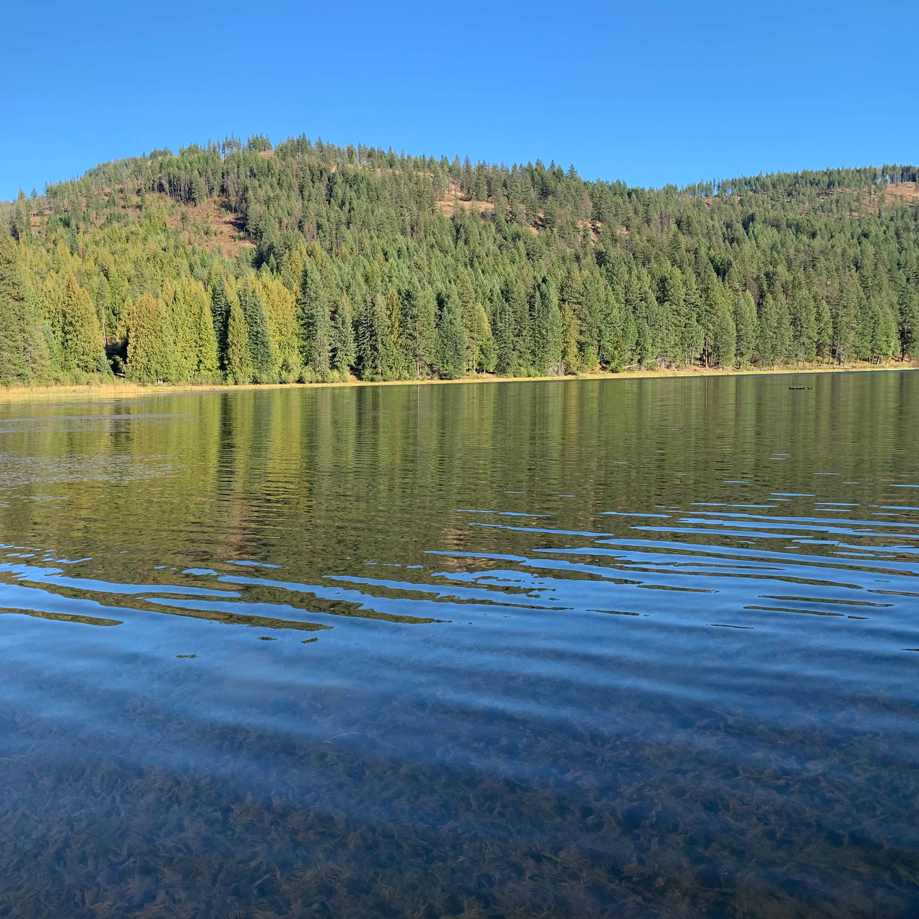 Mirror Lake Camping | The Dyrt