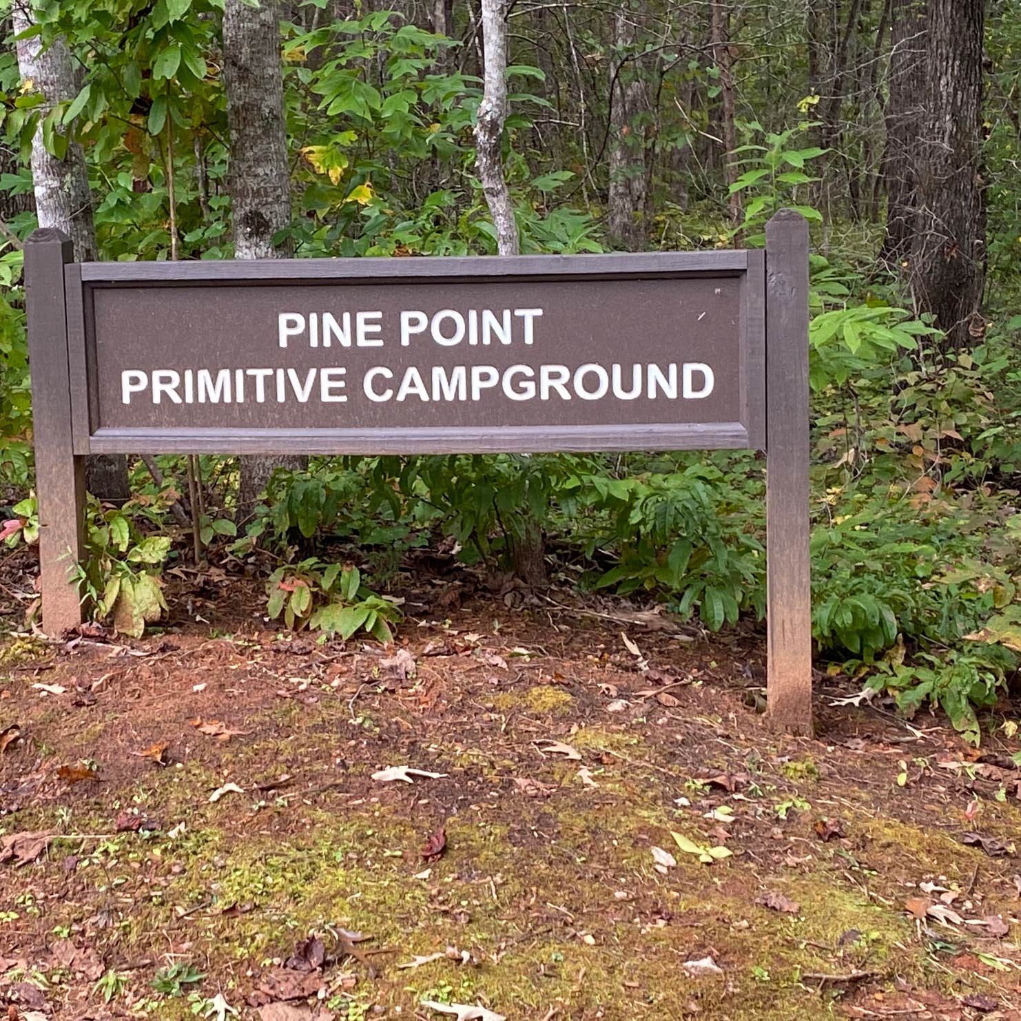 Pine Point Primitive Campground — Table Rock State Park | Sunset, SC