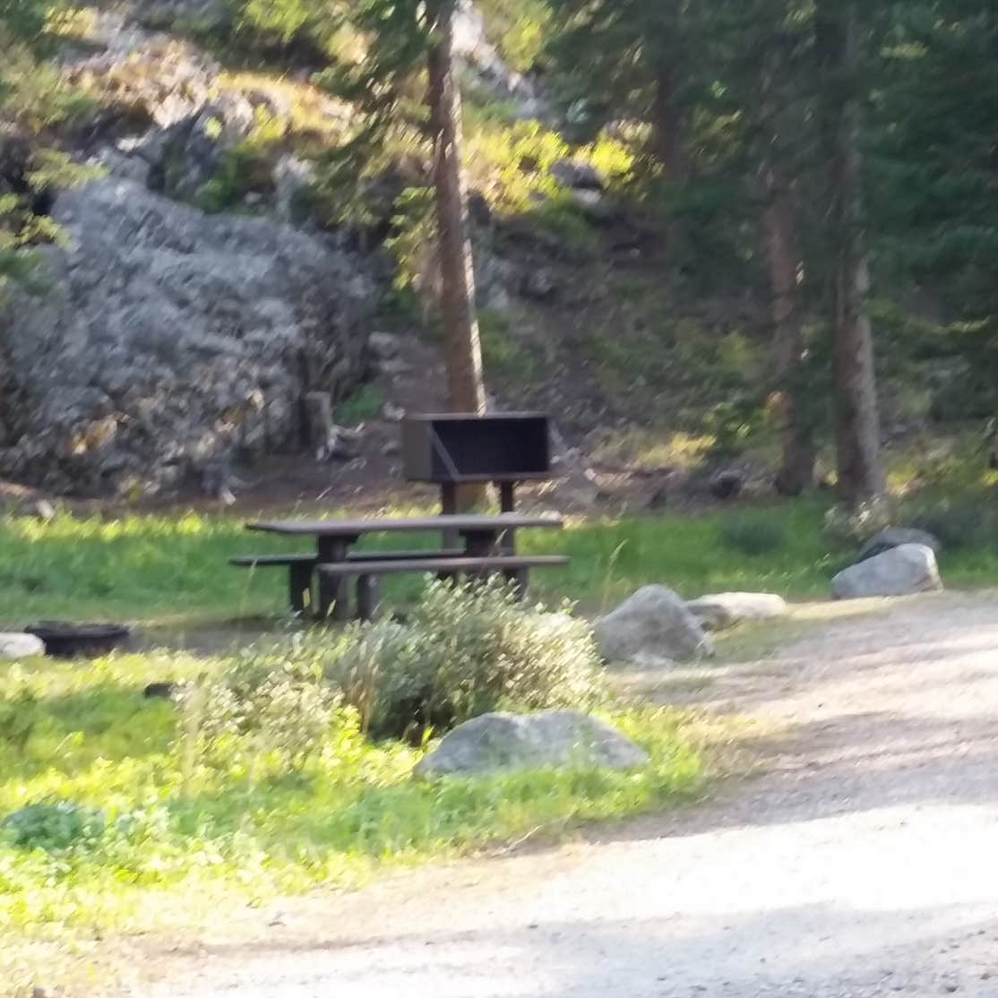 Shoshone National Forest Crazy Creek Campground | Cooke City, Montana