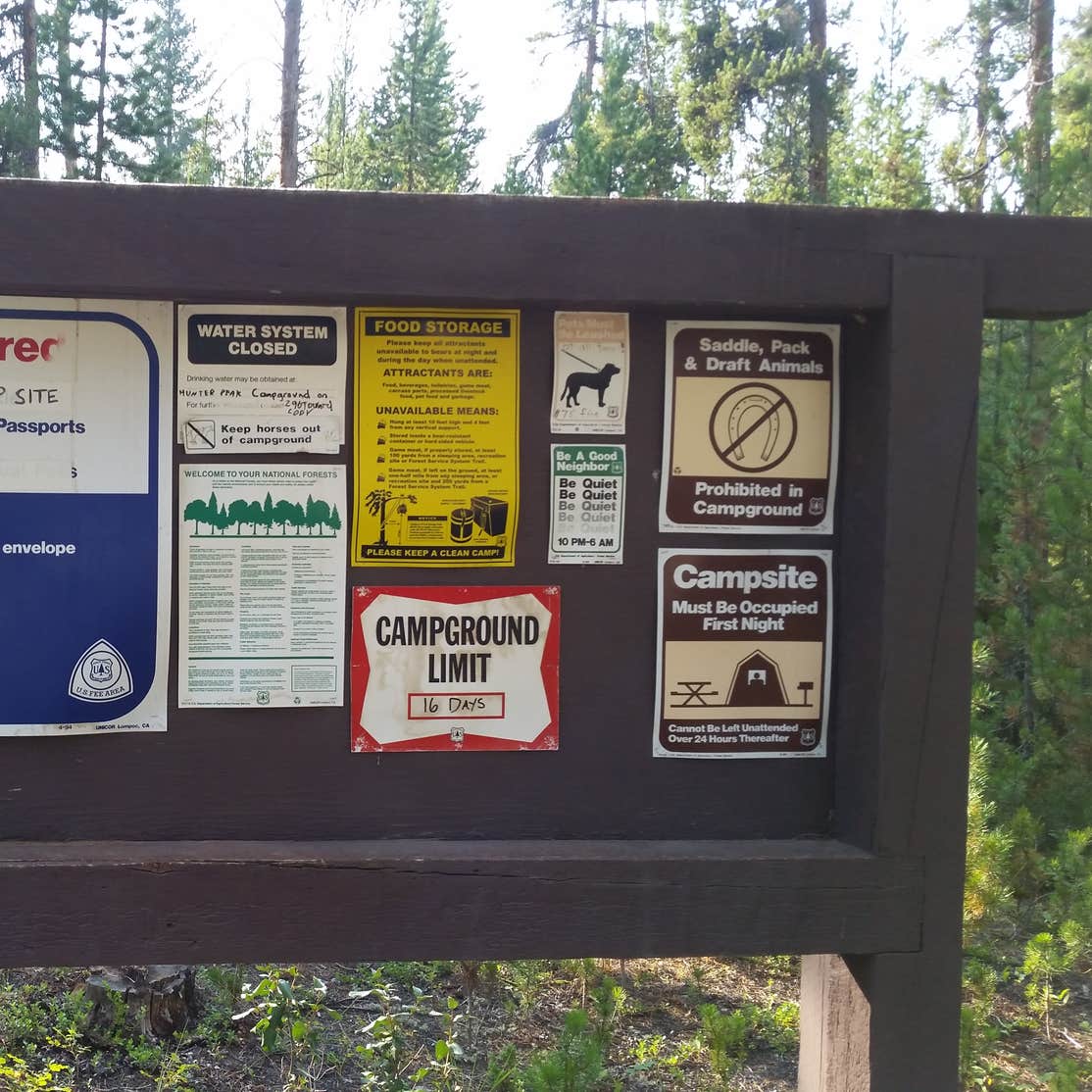 Shoshone National Forest Crazy Creek Campground | Cooke City, Montana