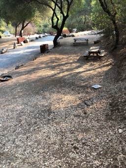 American River Resort Camping | Coloma, CA