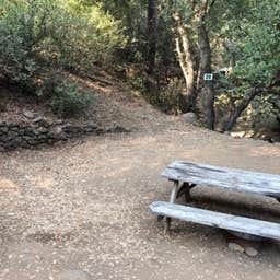 American River Resort Camping | Coloma, California