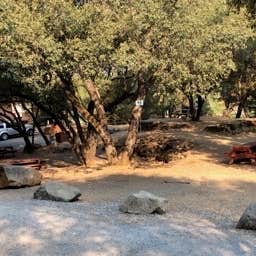 American River Resort Camping | The Dyrt