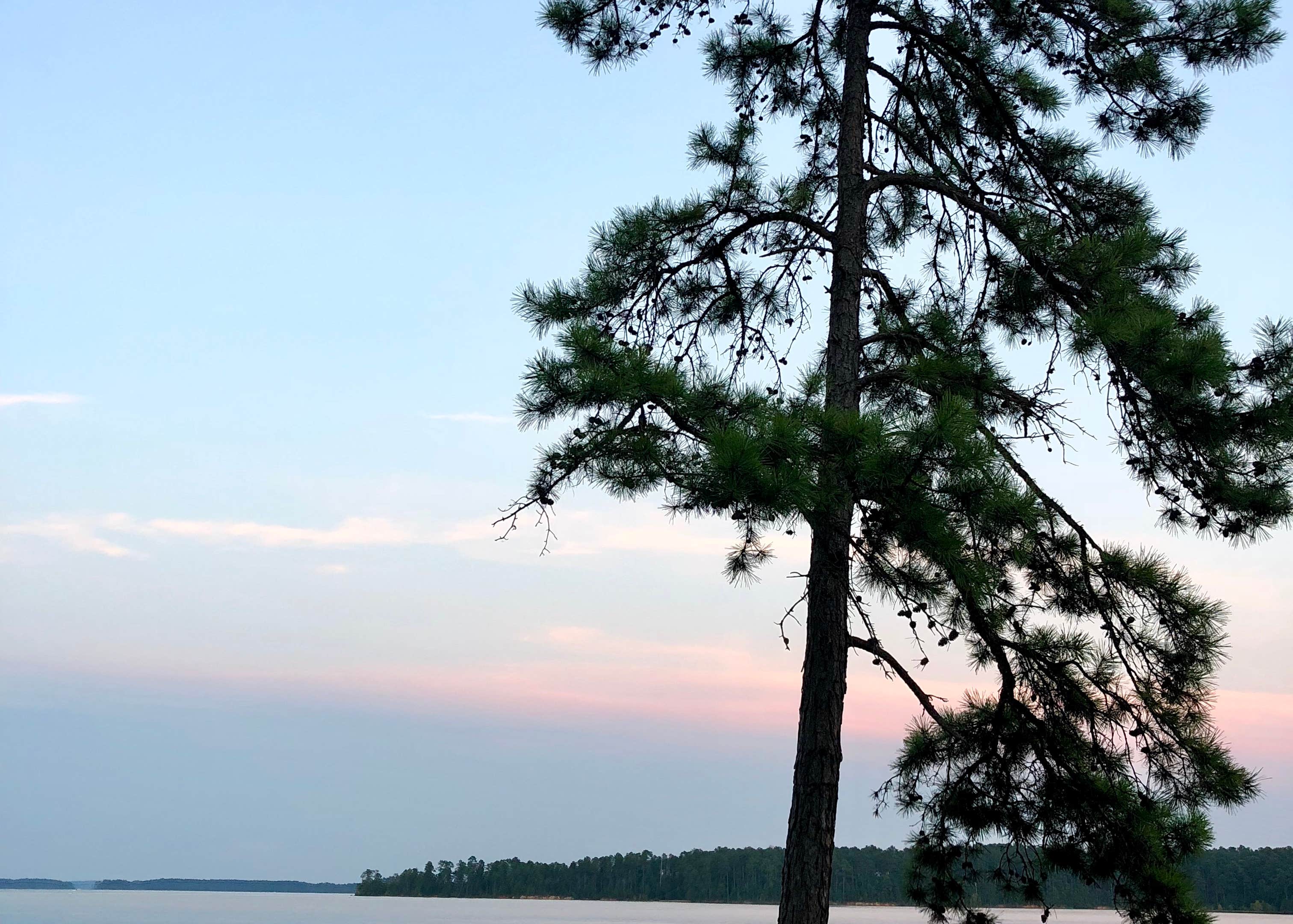 Pointes West Army Resort Camping | The Dyrt