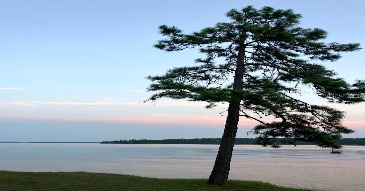 Pointes West Army Resort Camping | Appling, GA | The Dyrt