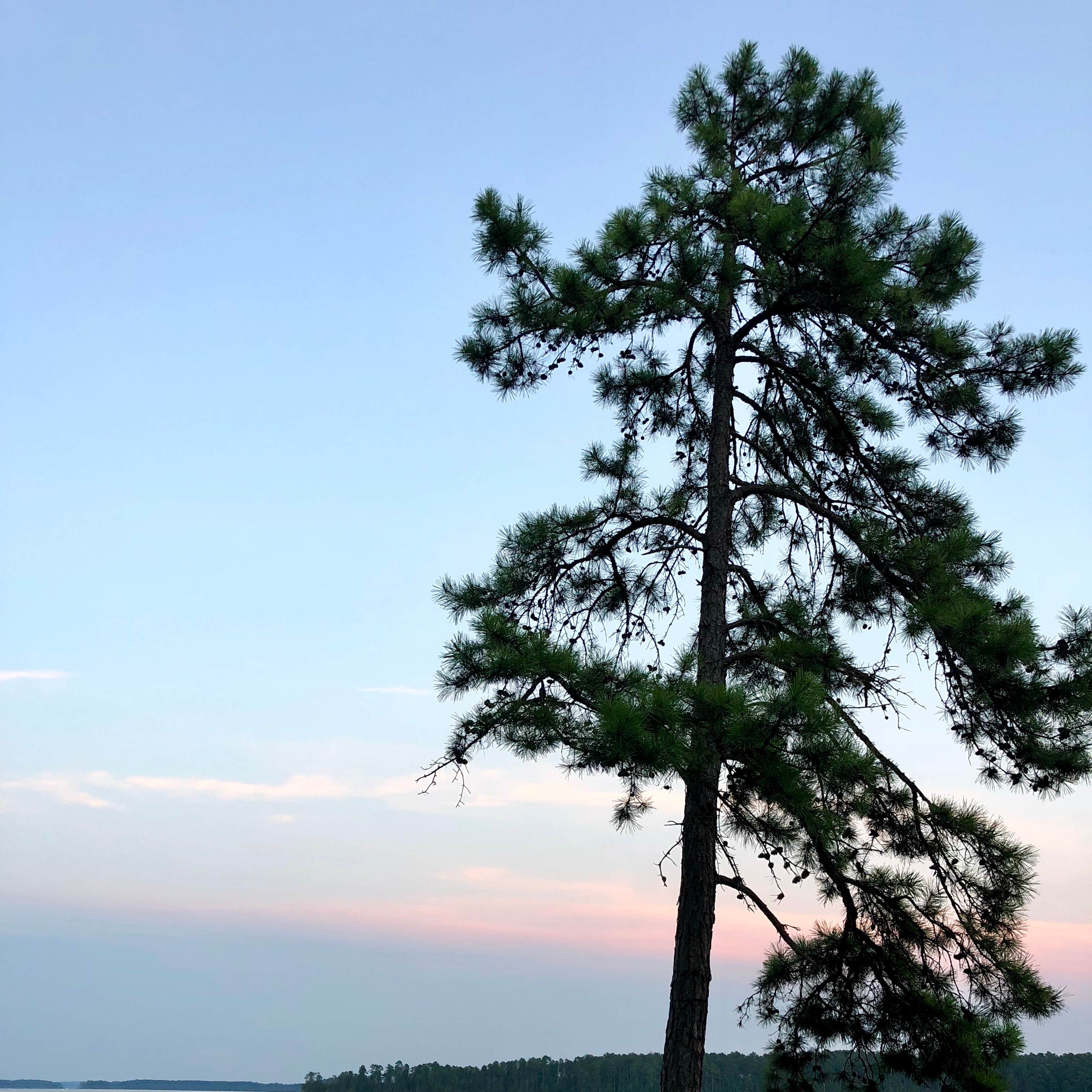 Pointes West Army Resort Camping | J. Strom Thurmond Lake, Georgia