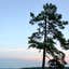 Pointes West Army Resort Camping | J. Strom Thurmond Lake, Georgia