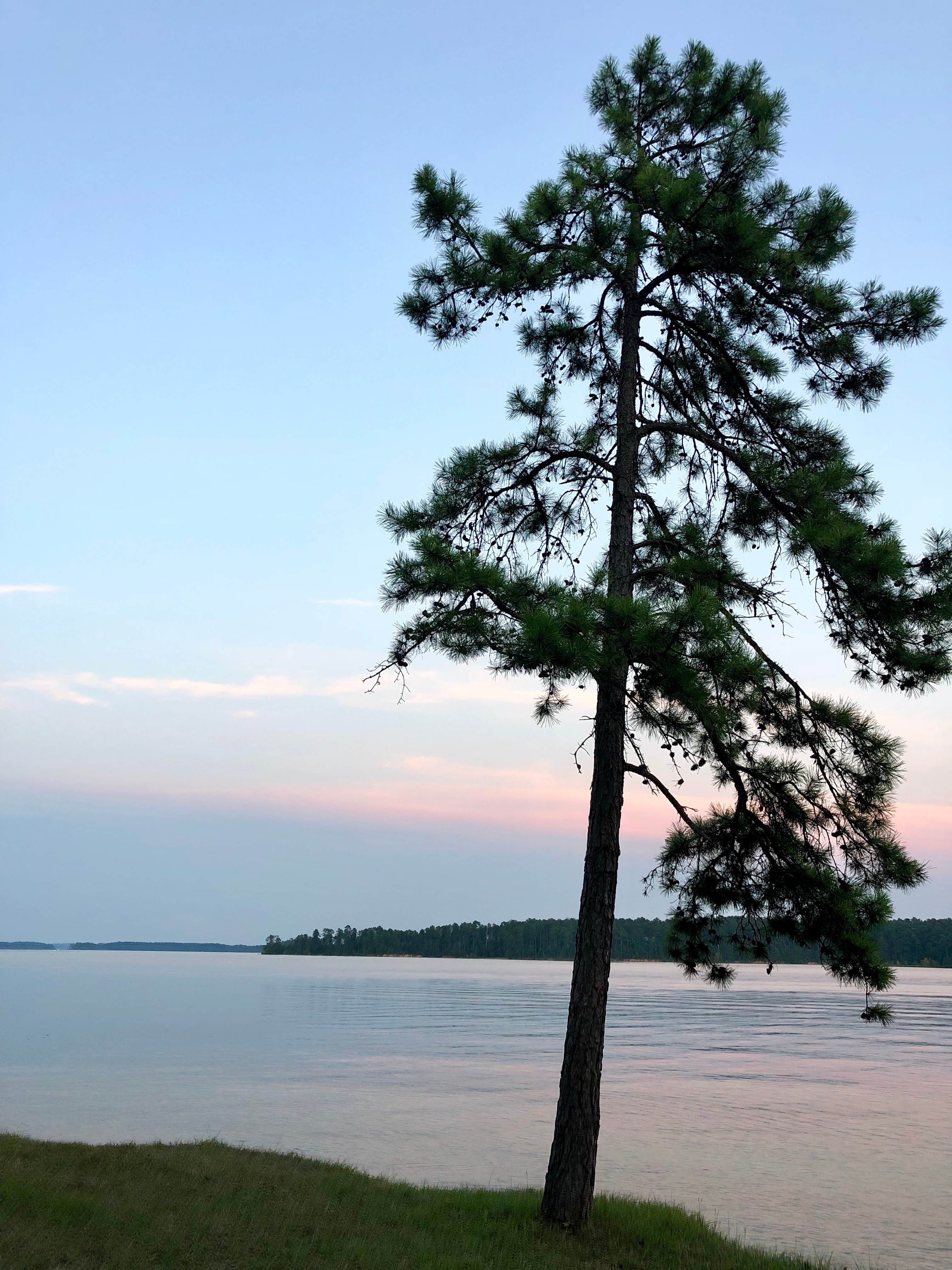 Pointes West Army Resort Camping | J. Strom Thurmond Lake, Georgia