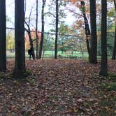 North Wood County Park Camping | Pittsville, WI | The Dyrt