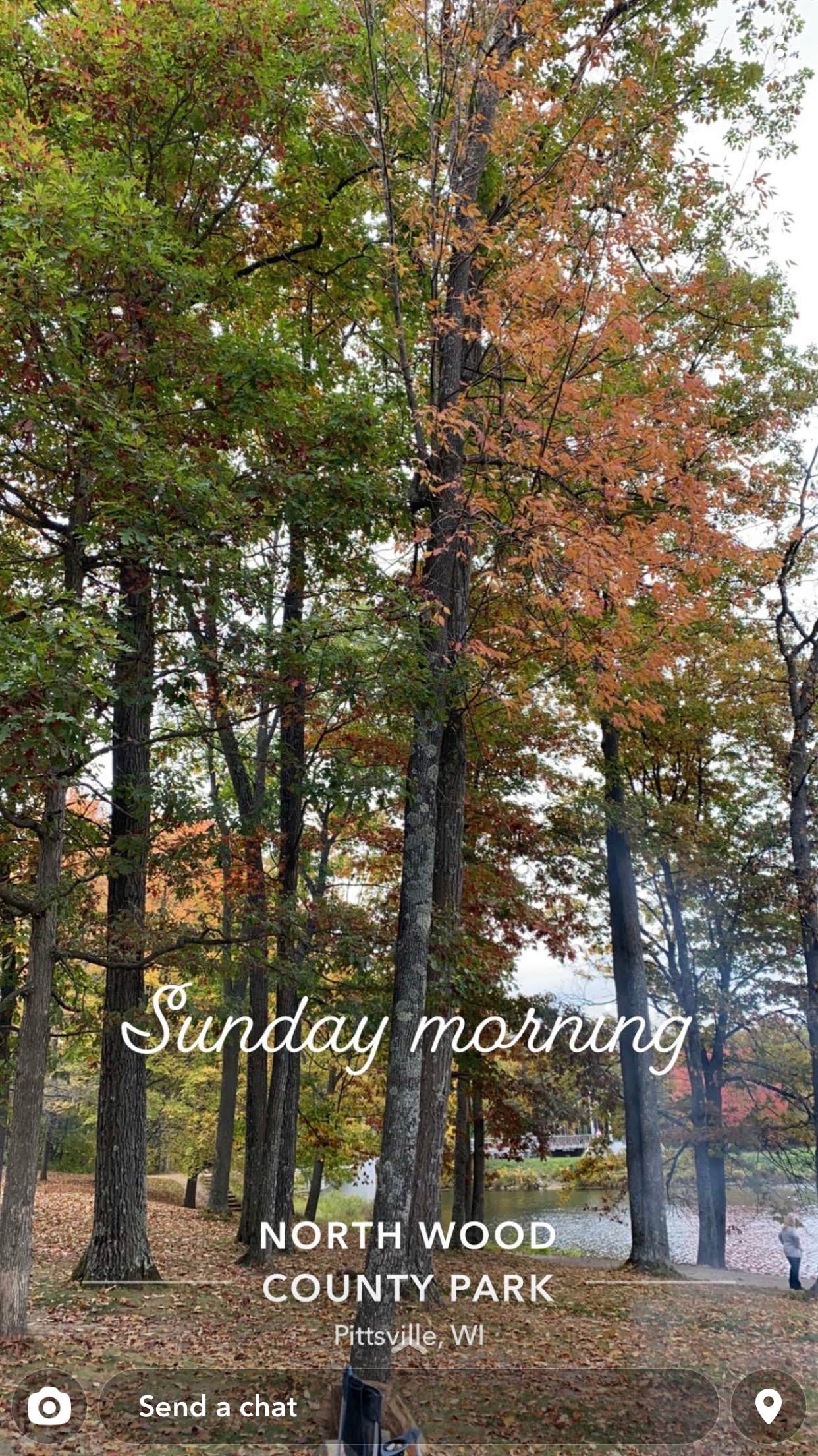 North Wood County Park Camping | Pittsville, WI