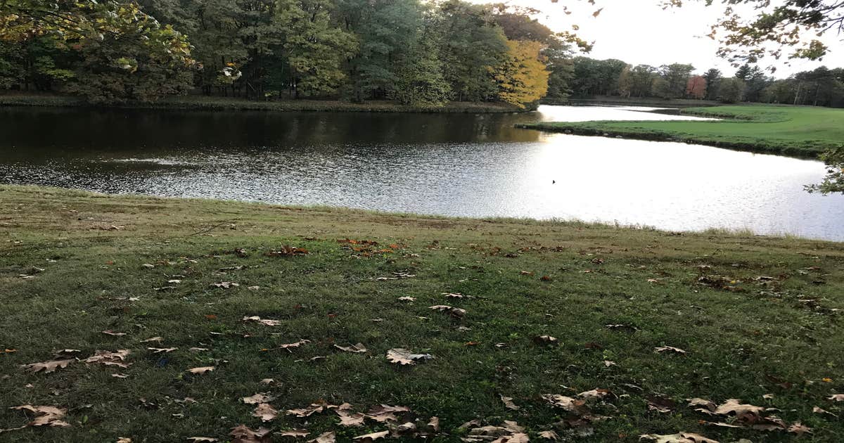 North Wood County Park Camping | Pittsville, WI | The Dyrt