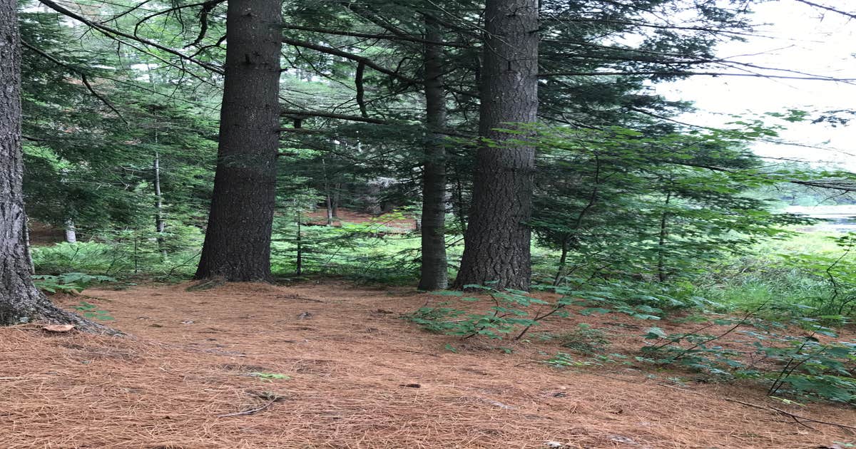 Sunday Lake Dispersed Camping | Thendara, New York