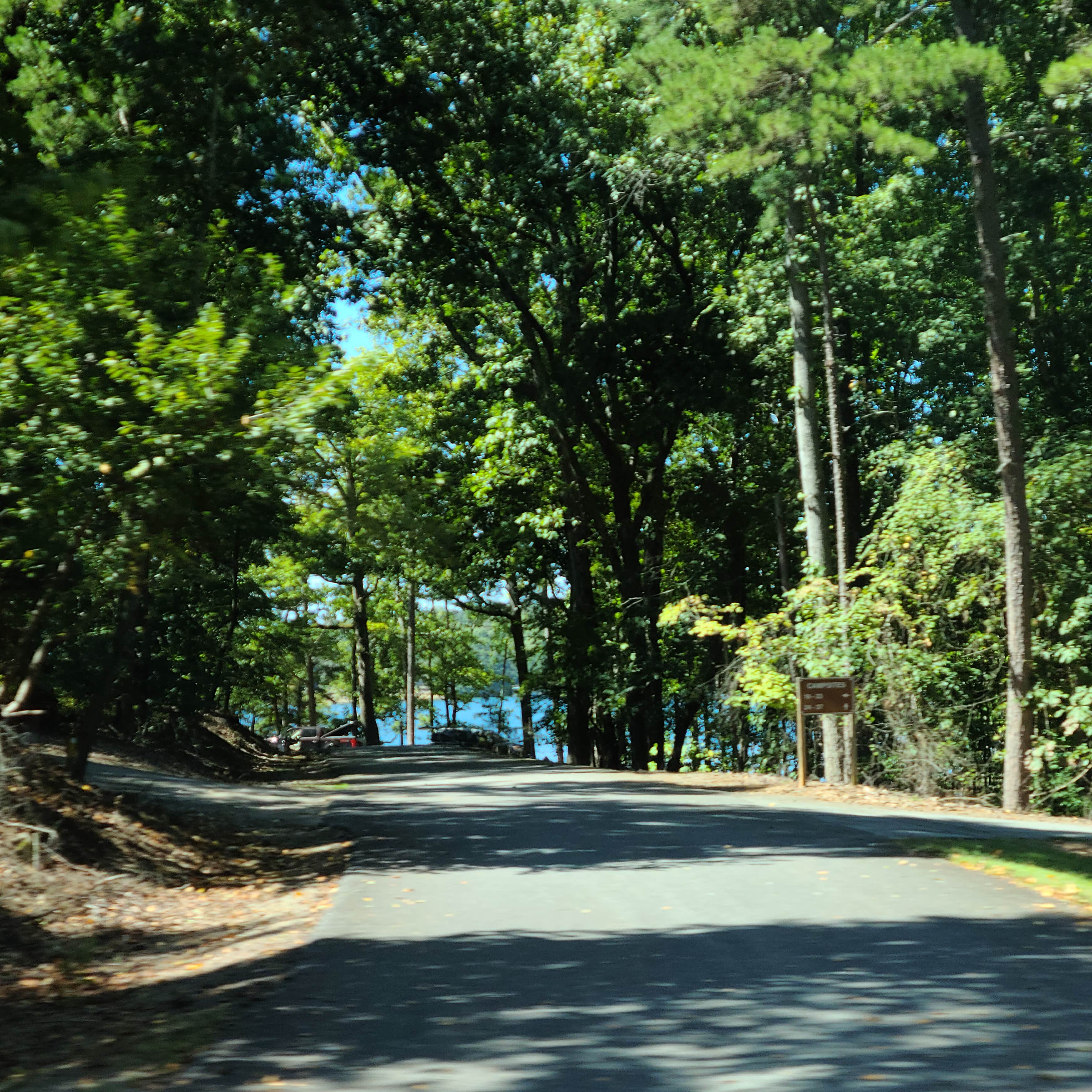 Shady Grove Campground Camping | The Dyrt