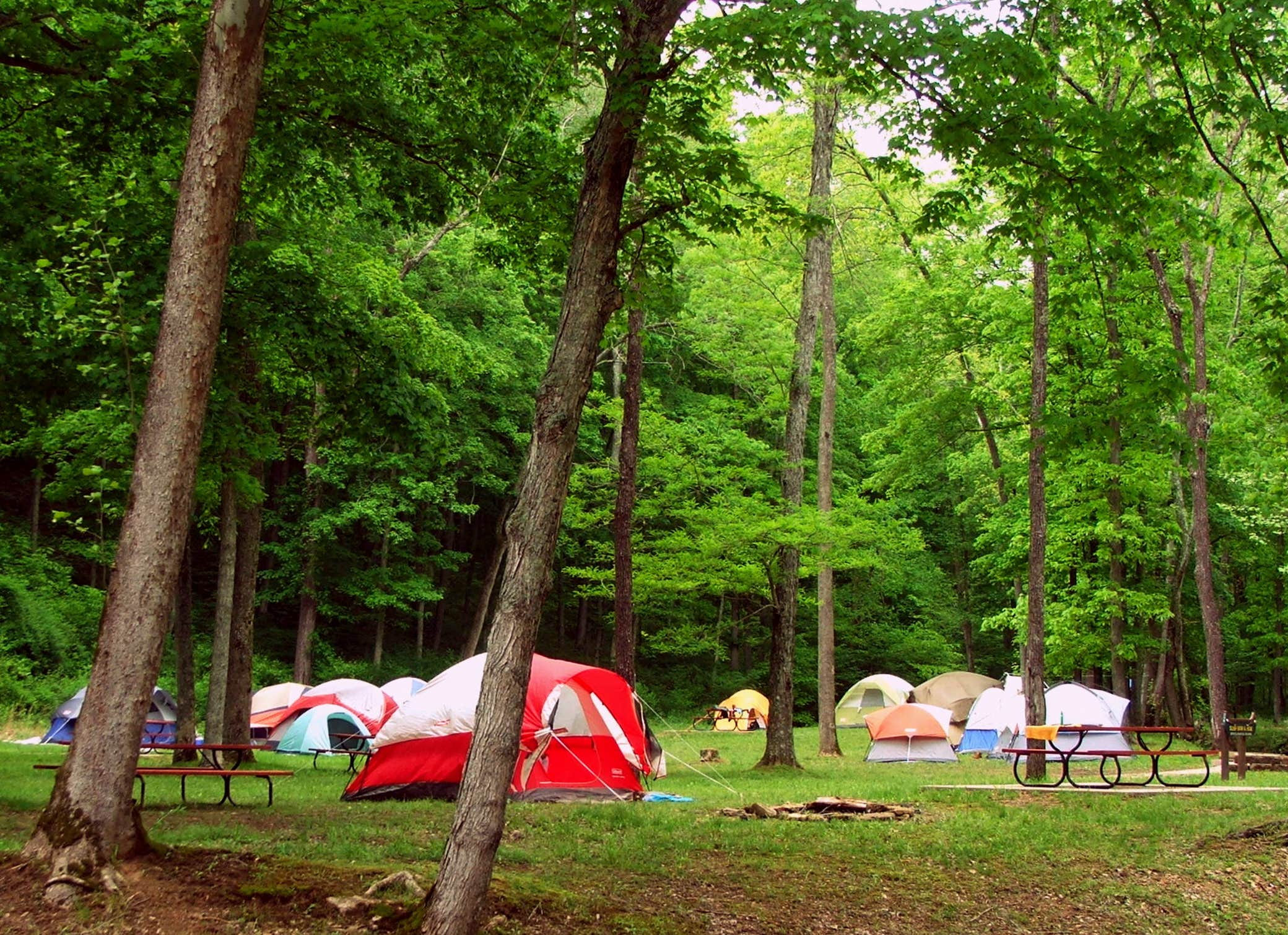 Sycamore Springs Park Camping | English, Indiana