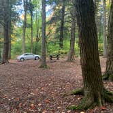 Charles E. Baker State Forest Camping | South Hamilton, NY | The Dyrt