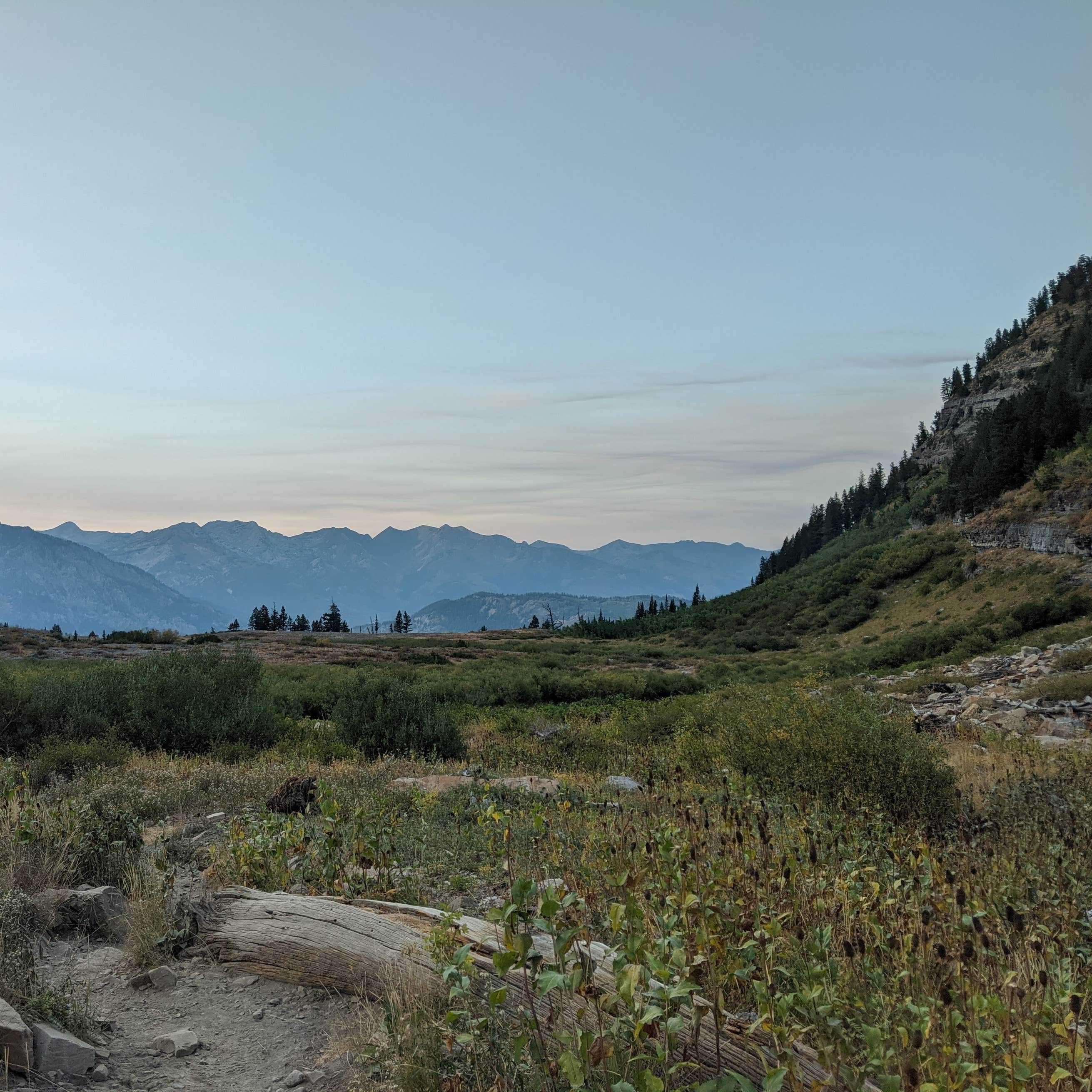 Mount Timpanogos Campground Camping | The Dyrt