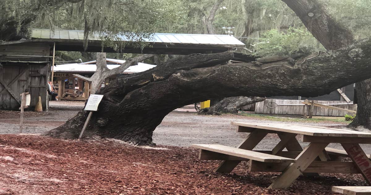 Camp Mack, A Guy Harvey Lodge, Marina & RV Resort | Lakeshore, Florida