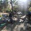 Jay B. Starkey Wilderness Park Camping | New Port Richey, Florida