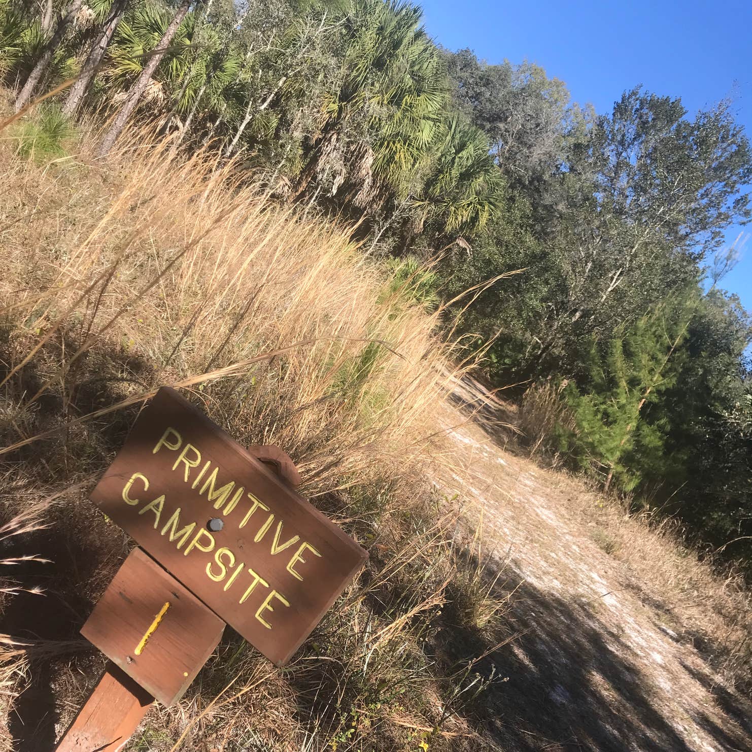Jay B. Starkey Wilderness Park Camping | New Port Richey, FL