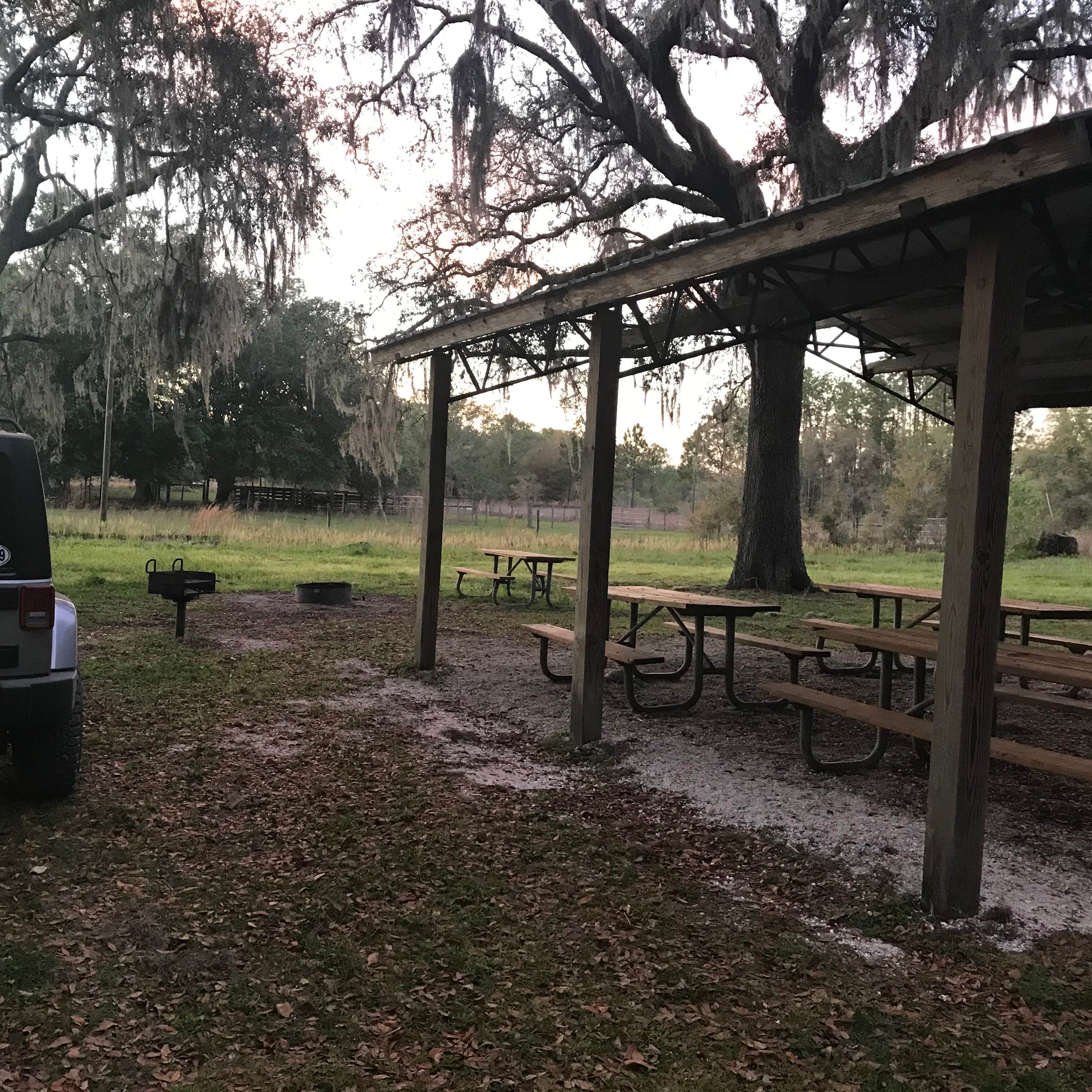 Green Swamp — West Tract Camping | The Dyrt