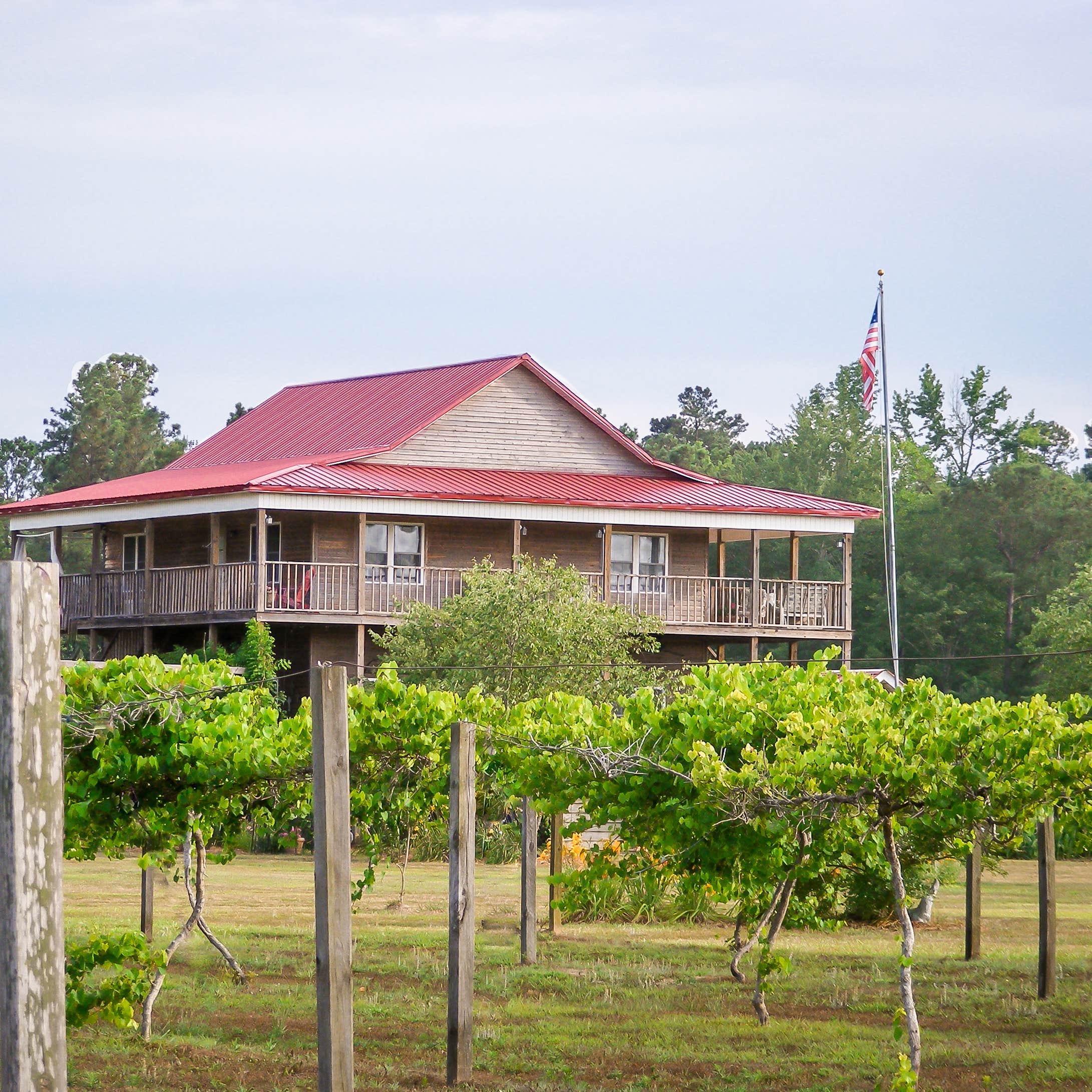 CarrollWoods RV Park at Grapefull Sisters Vineyard Camping | The Dyrt