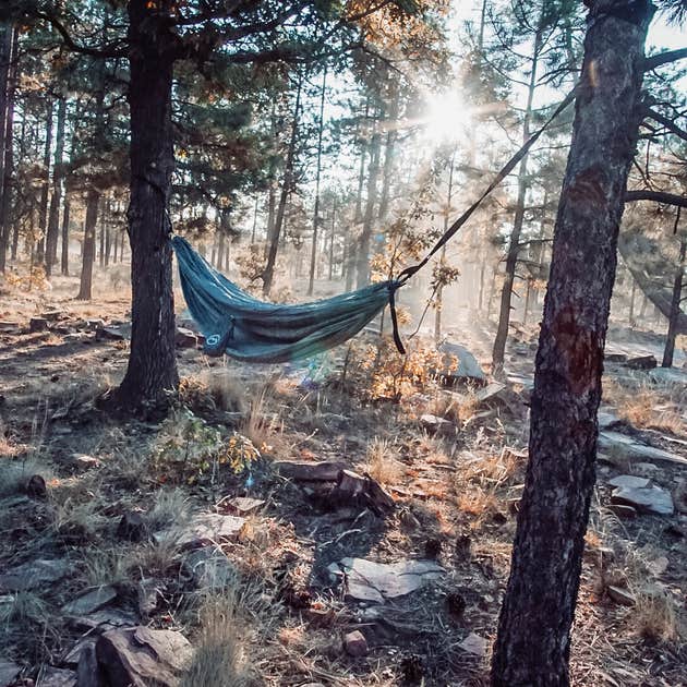 Mogollon Campground | Payson, AZ