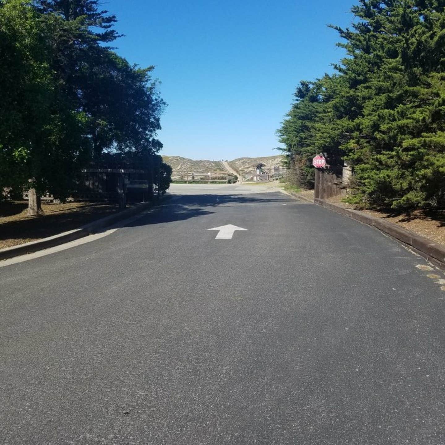 Marina Dunes RV Park Camping | The Dyrt