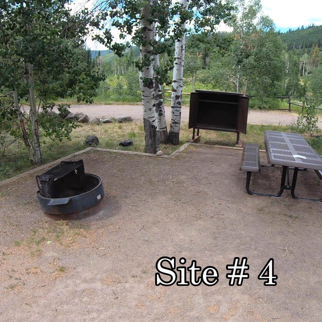 Marvine Campground | Meeker, Colorado