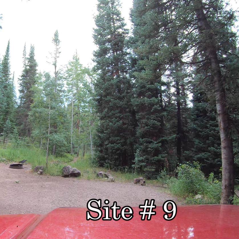 Marvine Campground | Meeker, CO