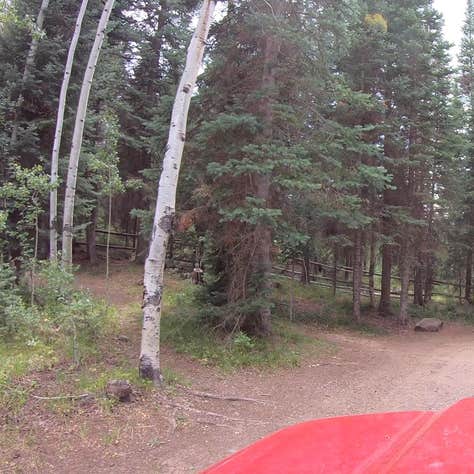Marvine Campground | Meeker, CO