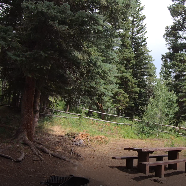 East Marvine Camping | Meeker, CO